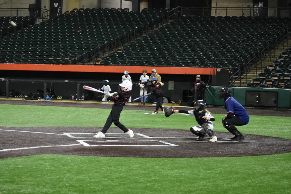 Teeny Tinies Vending Machine box - Free 3D Print Model - MakerWorld