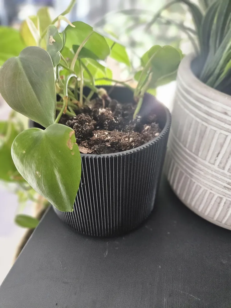 Aesthetic Indoor Plant Pot - Free 3D Print Model - MakerWorld