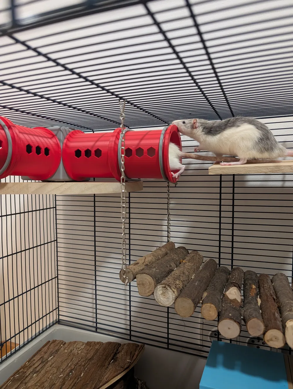 V2 Modular Rat & Rodent HQ Customizable Tunnel 80 - Free 3D Print Model ...