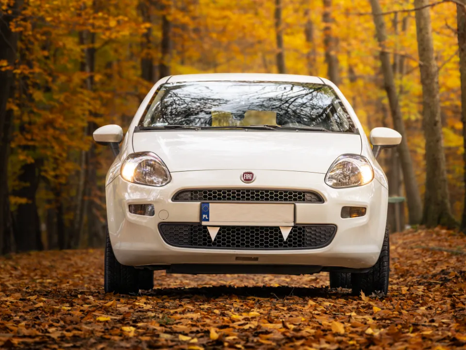 Fiat Grande Punto shark teeth - Free 3D Print Model - MakerWorld