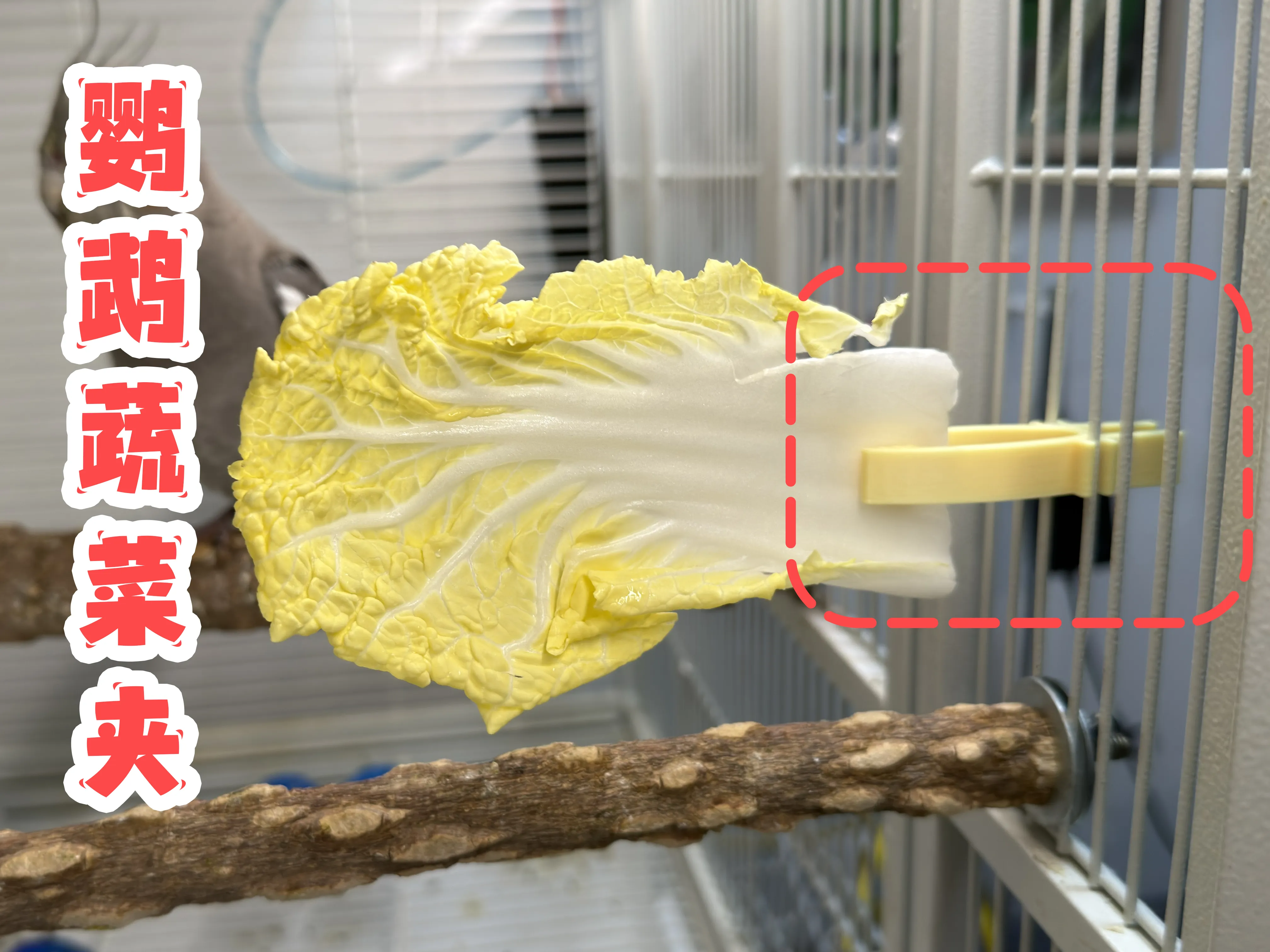 Parrot Desktop Stand/Perch (Three Birds in One Frame) - Free 3D Print ...