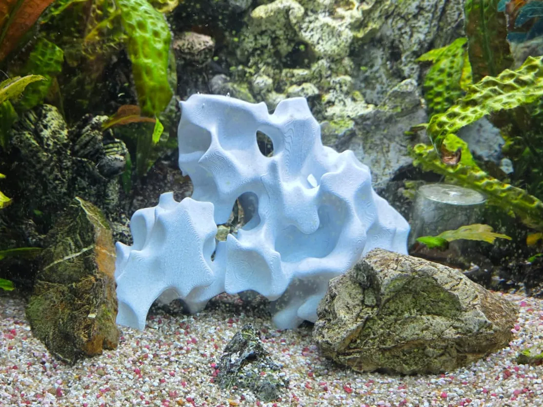 Holey rock - Free 3D Print Model - MakerWorld