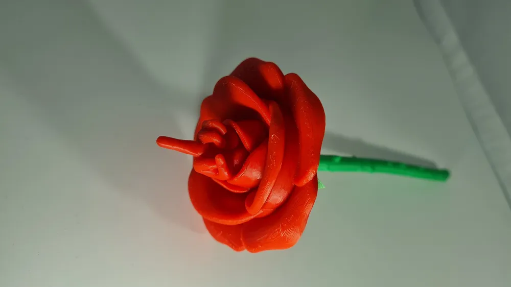 Rose Middle Finger - Free 3D Print Model - MakerWorld