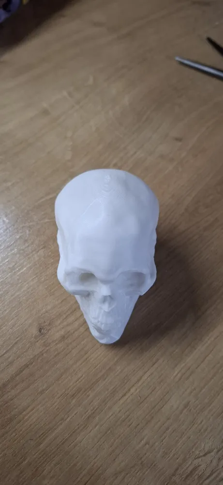 Human Scull - Free 3D Print Model - MakerWorld