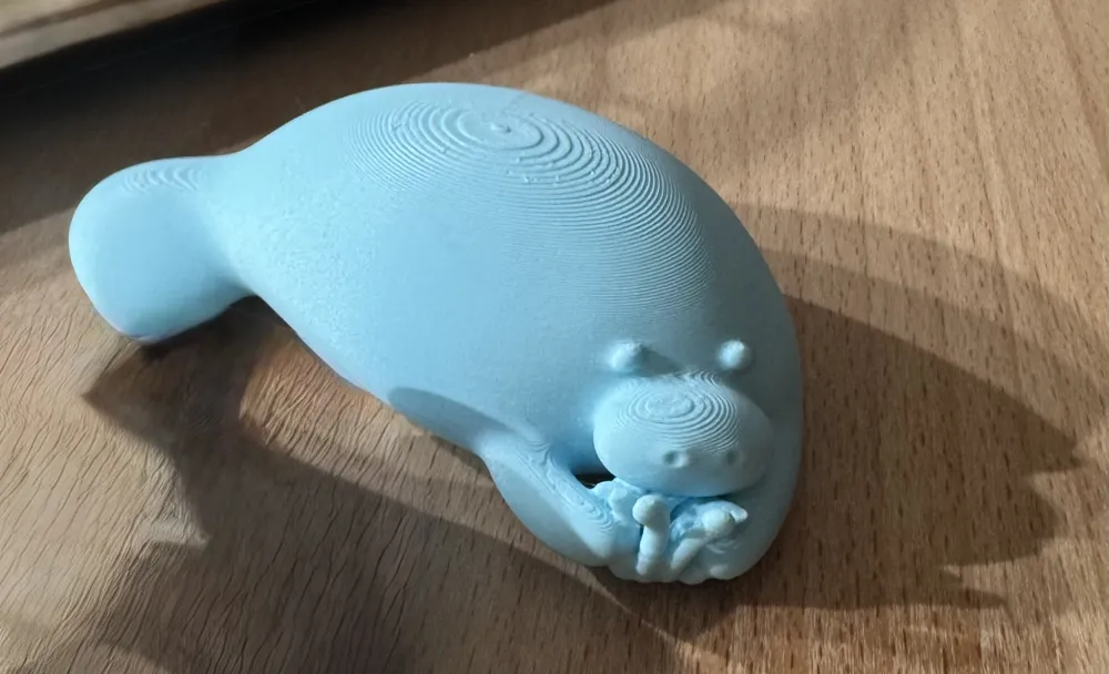 manatee - Free 3D Print Model - MakerWorld