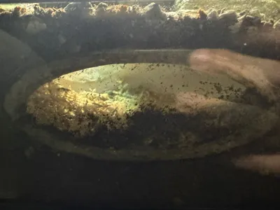 Gecko burrow with window for glass terrarium - Free 3D Print Model ...