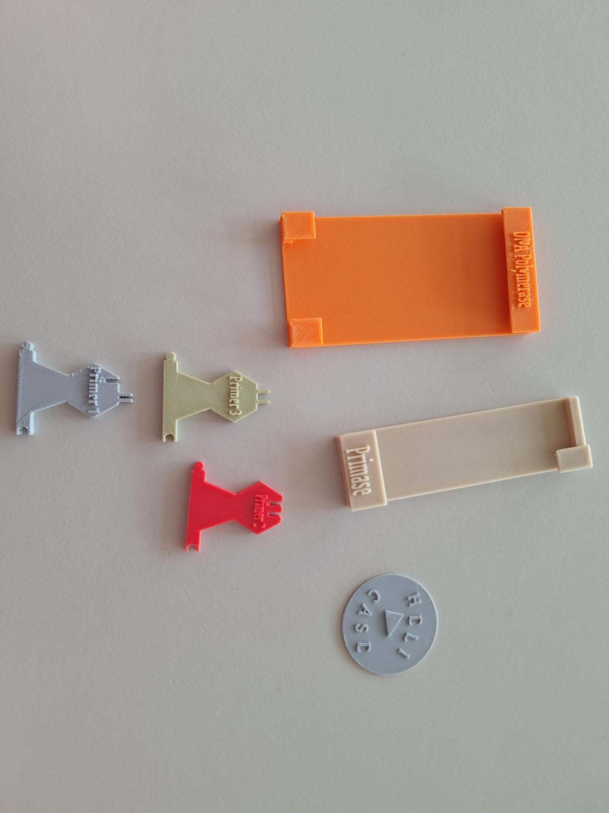 DNA-Replication - Free 3D Print Model - MakerWorld