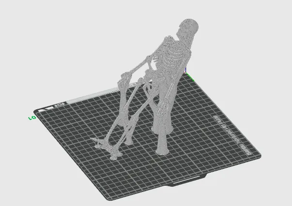 Human Skeleton Biology Teaching Model - Free 3D Print Model - MakerWorld