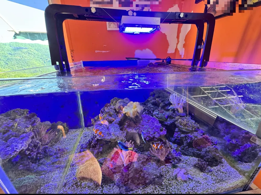 Marine/Freshwater Aquarium Light Fixture Support - Free 3D Print Model ...