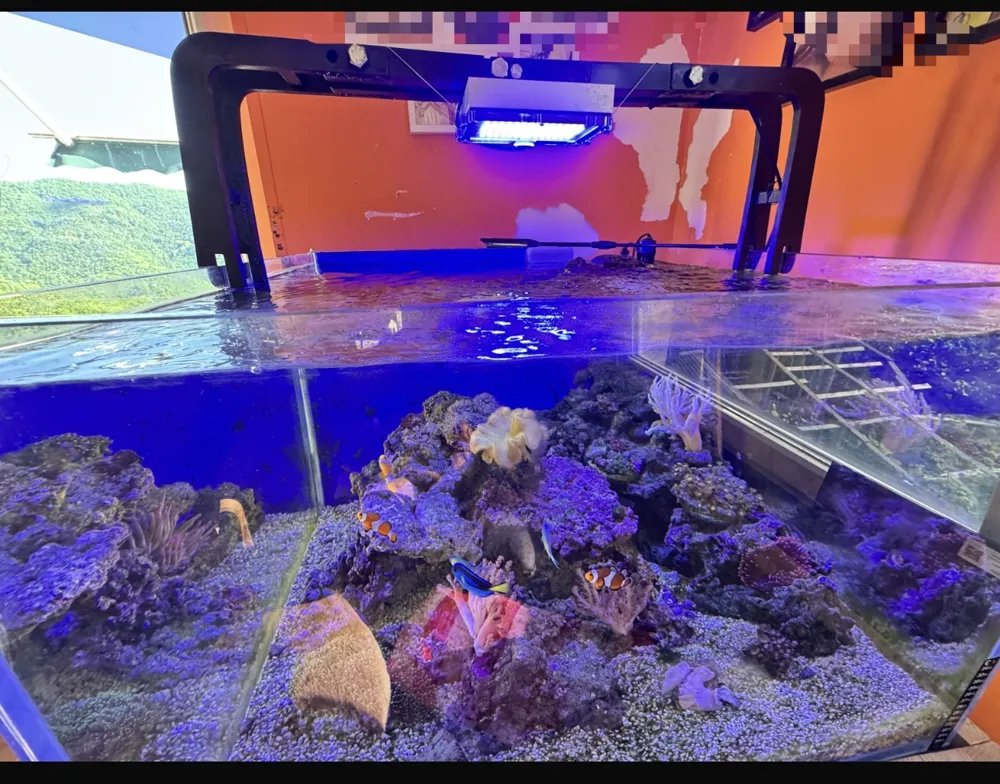 Marine/Freshwater Aquarium Light Fixture Support - Free 3D Print Model ...
