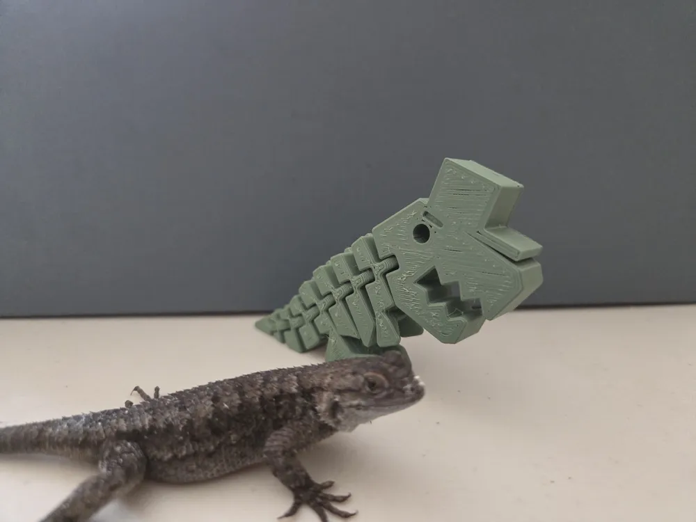 Hat Rex - Free 3D Print Model - MakerWorld