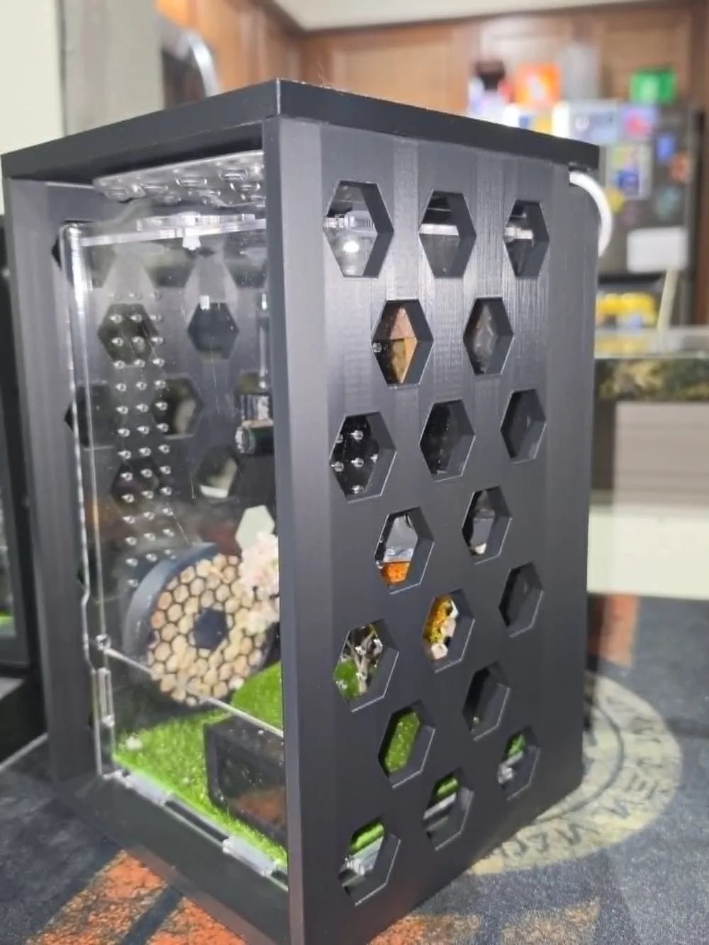 Jumping Spider Box - Free 3D Print Model - MakerWorld