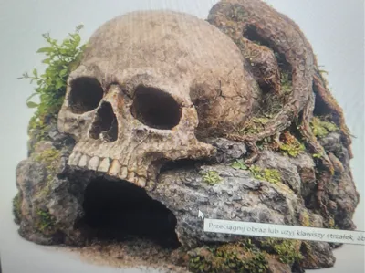 Skull-shaped rock hide for terrariums - Free 3D Print Model - MakerWorld