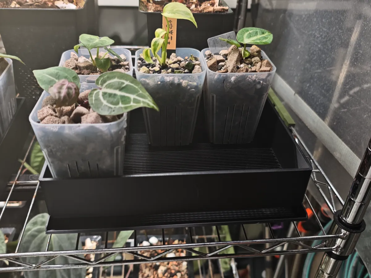 Seedling Pot (Wet/Dry Separation) - Free 3D Print Model - MakerWorld