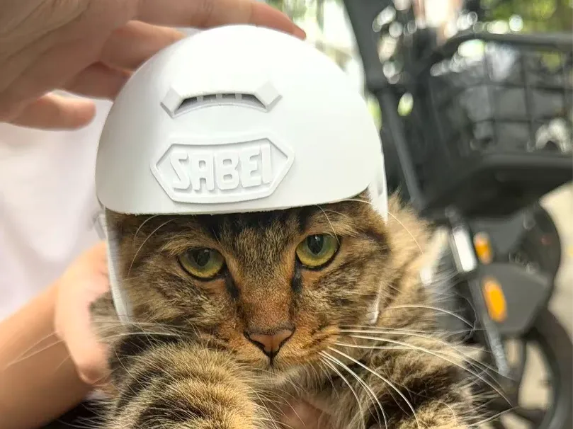 Hakimi 3/4 Decorative Helmet (for pet cats, Shoei prototype) - Free 3D ...