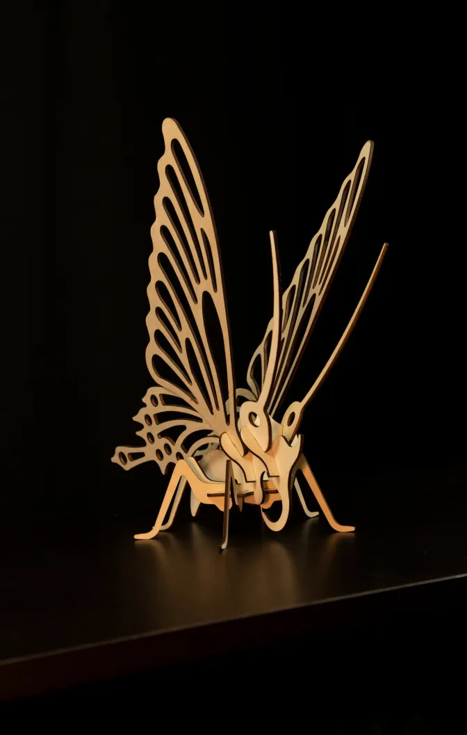 Laser Engraving - Butterfly by 开着小炮艇 MakerWorld: Download Free 3D Models