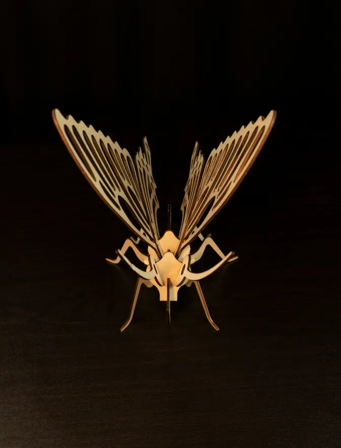 Laser Engraving - Butterfly by 开着小炮艇 MakerWorld: Download Free 3D Models