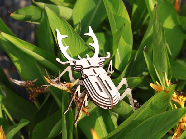 Laser Engraving – Beetle – Stag Beetle by 开着小炮艇 MakerWorld: Download ...
