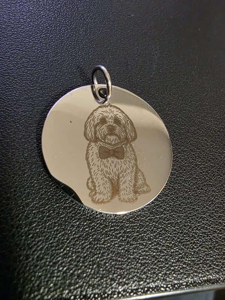 Havanese dog - Free 3D Print Model - MakerWorld