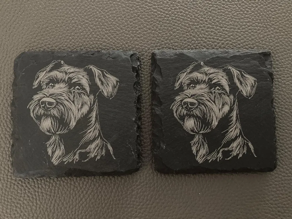 Cara de Schnauzer Gigante - Modelo de impresión 3D gratuito - MakerWorld