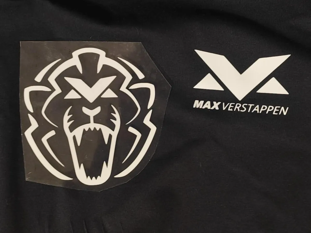 Max Verstappen F1 Sticker/HTV - Free 3D Print Model - MakerWorld