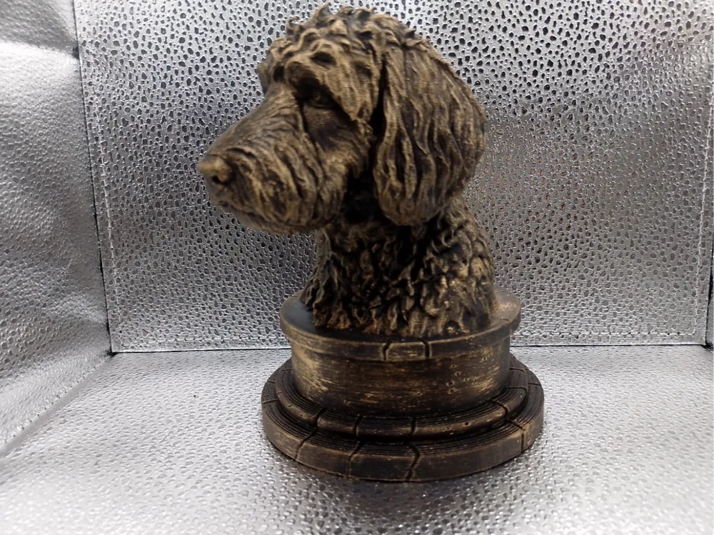 Labradoodle Bust - Free 3D Print Model - MakerWorld