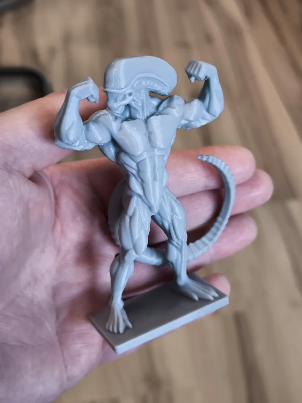 Muscle Arachnoid Alien|Predator | GYM Version - Free 3D Print Model ...