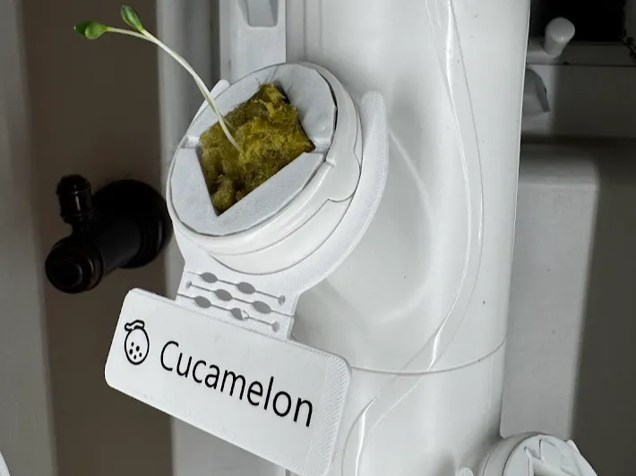 Gardyn DIY yPod / yCube Plant Labeling System - Free 3D Print Model ...