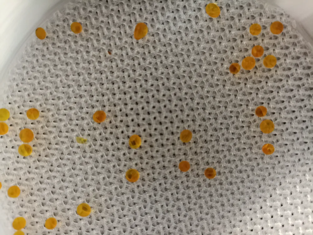 Dessicant dispenser and dryer by korneo51 - MakerWorld