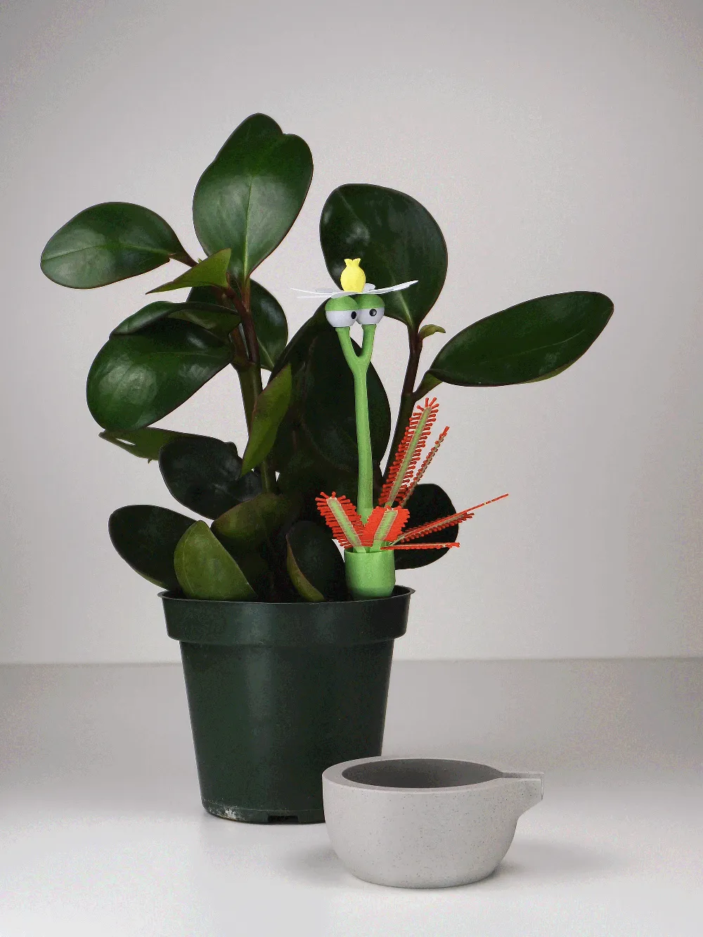 Reusable Sundew Trap For Flies and Gnats by Kit of Plants MakerWorld ...