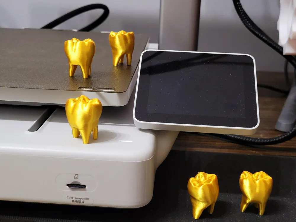 Golden tooth golden teeth human tooth Remixed by Tripo.ytMakerWorld ...