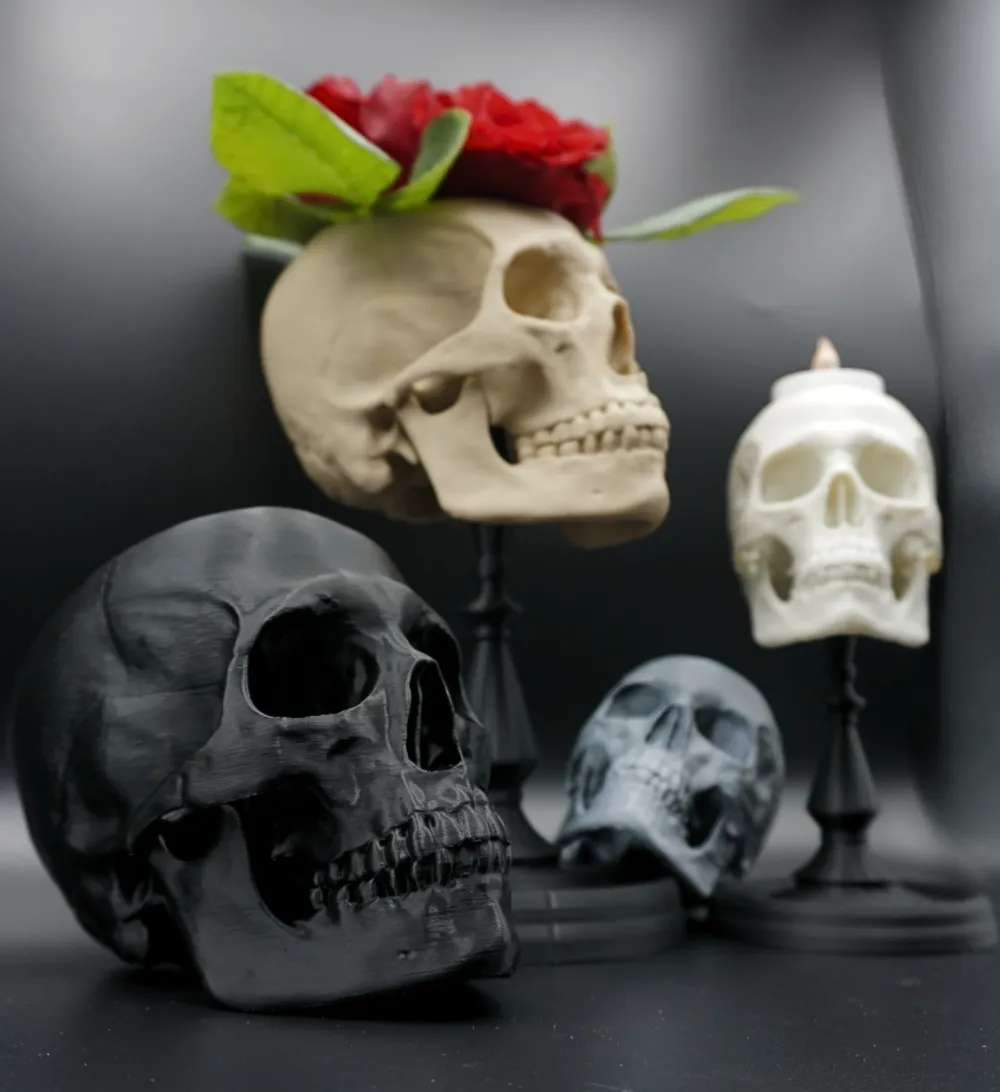Holder for Skulls | Stand by Kari - MakerWorld