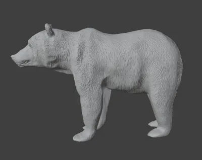 Bear (high detail) by Budahazi_Design MakerWorld: Download Free 3D Models