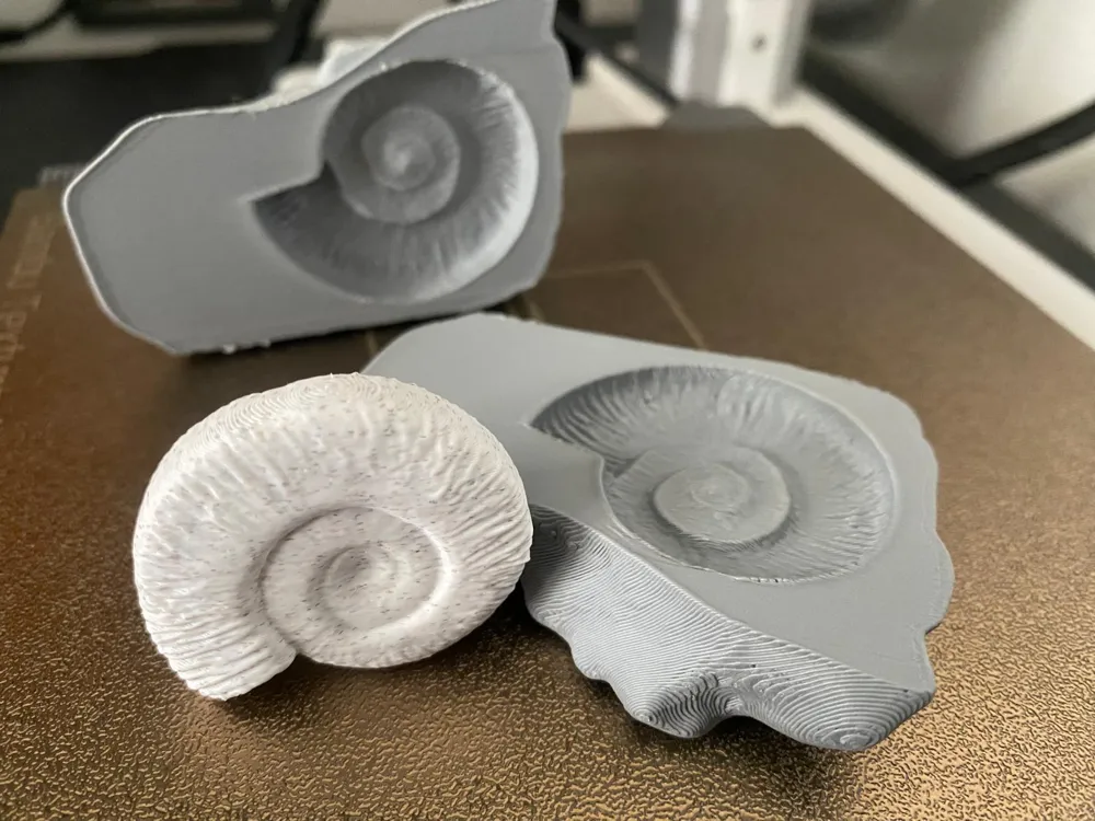 Fossil Ammonite educational model by LorenzCR MakerWorld: Download Free ...