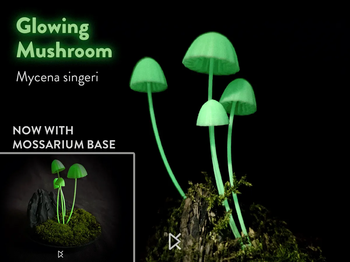 Bioluminescent Mushrooms - Mycenia Singeri by Alchemic Matter MakerWorld: Download Free 3D Models