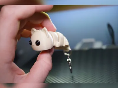 Cute Flexi Cat - Keychain (No AMS) (No Supports) by SternPrinting ...