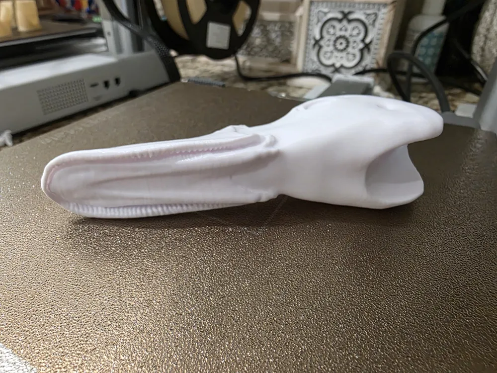 Duck Head - Black Duck Drake - Taxidermy - Free 3D Print Model - MakerWorld
