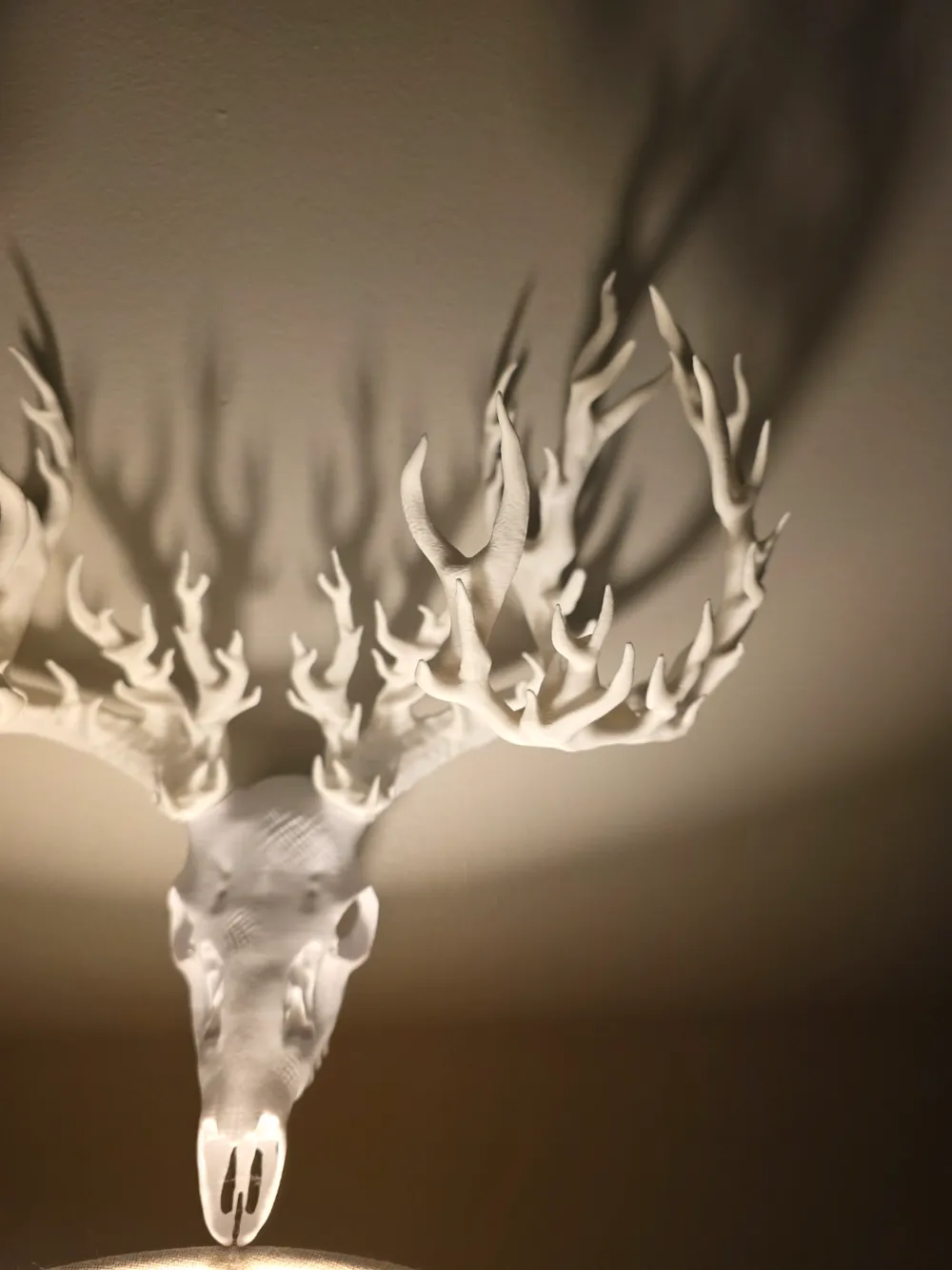 "Fire" Whitetail Deer Skull - Free 3D Print Model - MakerWorld