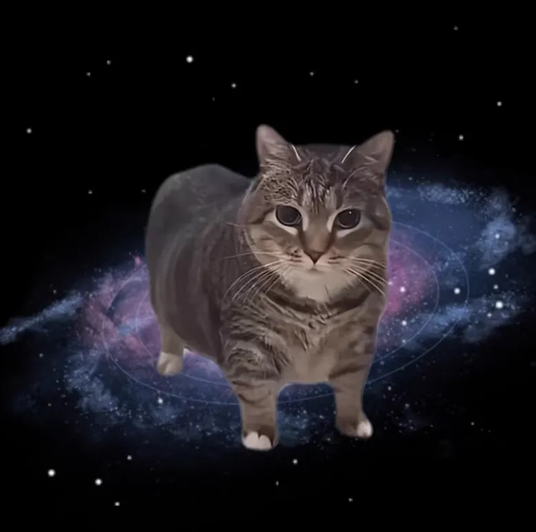 Oiia Stinky Cat Rotating Keycap Decompression Internet Celebrity Cat ...