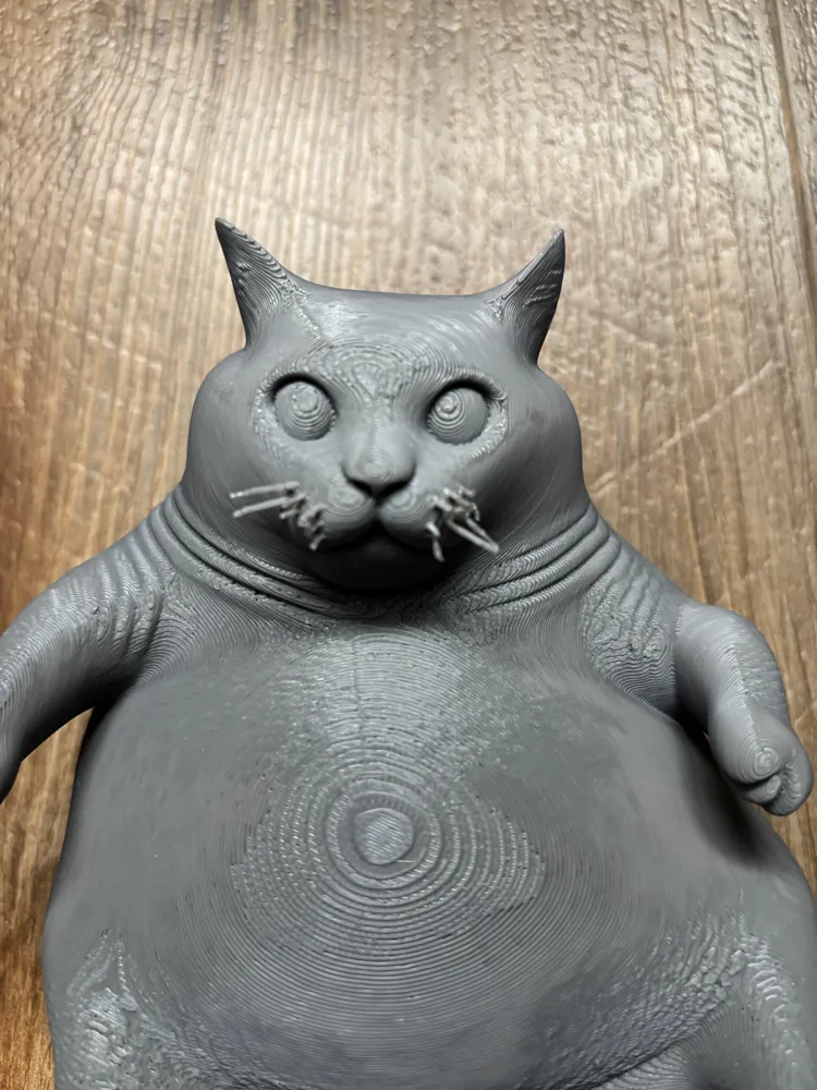 Ugly FAT CAT on back, I've fallen & I can't get up - Free 3D Print ...