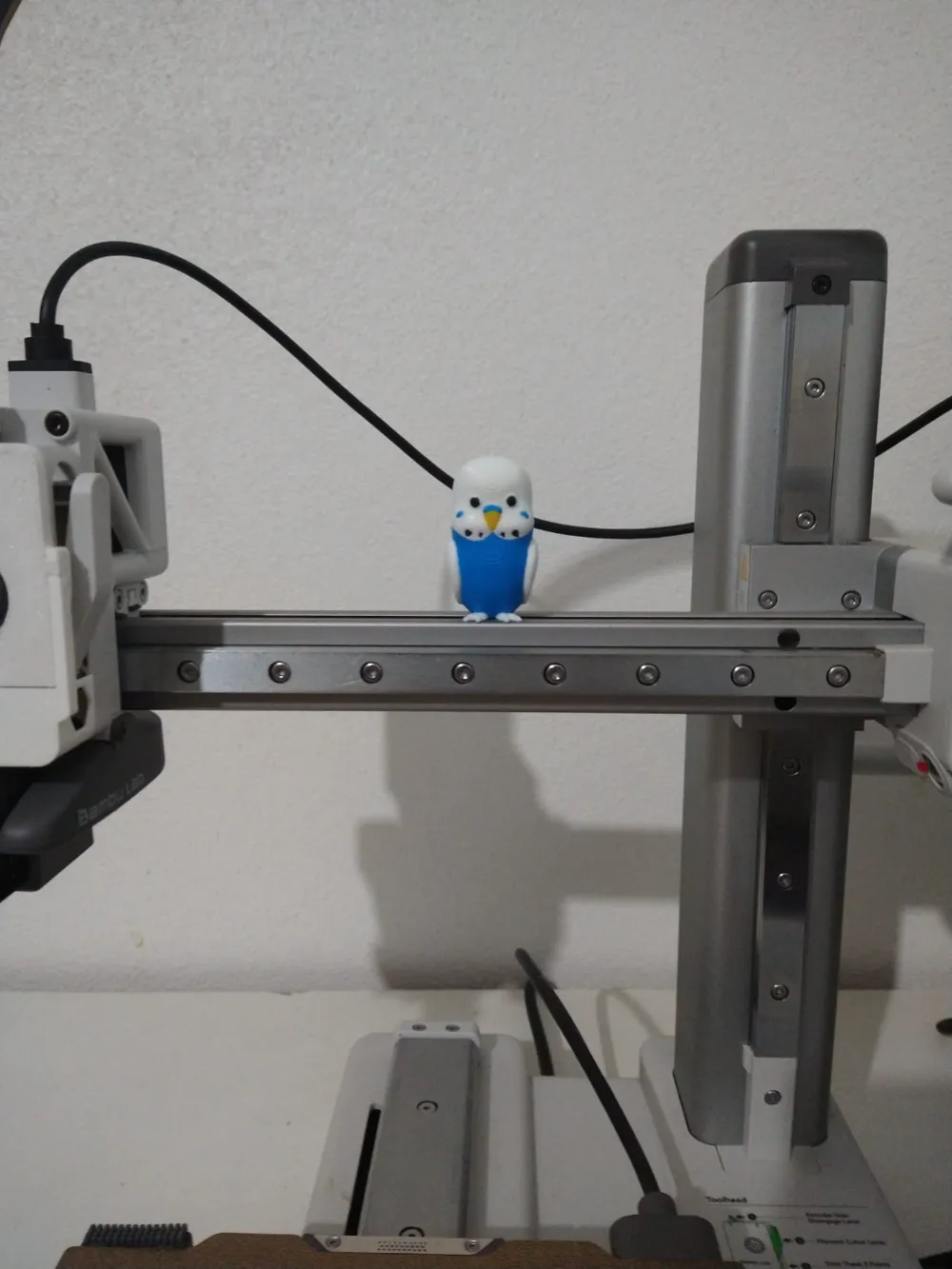 Australian parakeet magnet by 3D mais MakerWorld: Download Free 3D Models