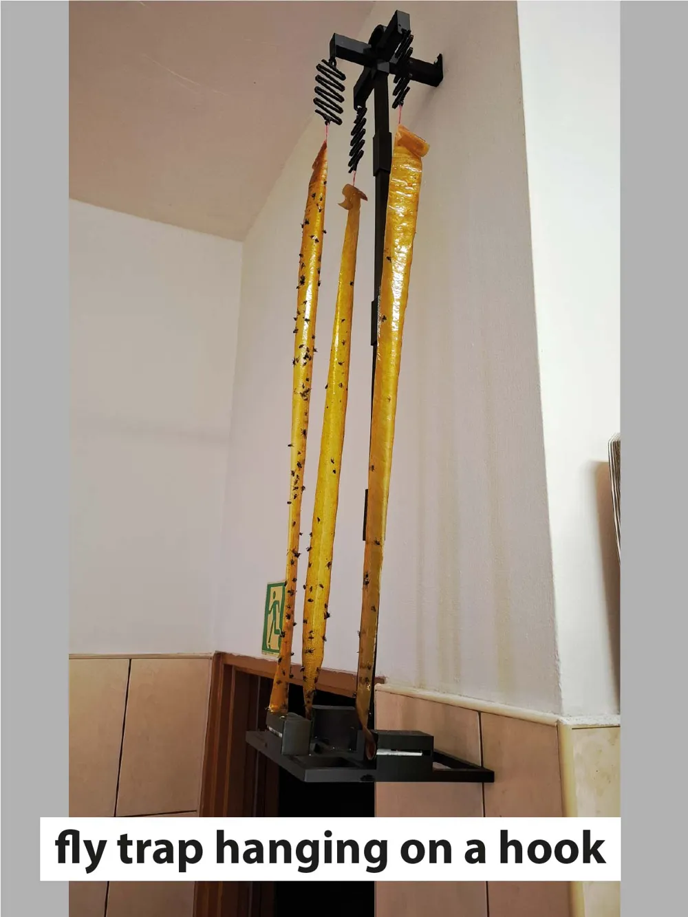 fly trap - Free 3D Print Model - MakerWorld