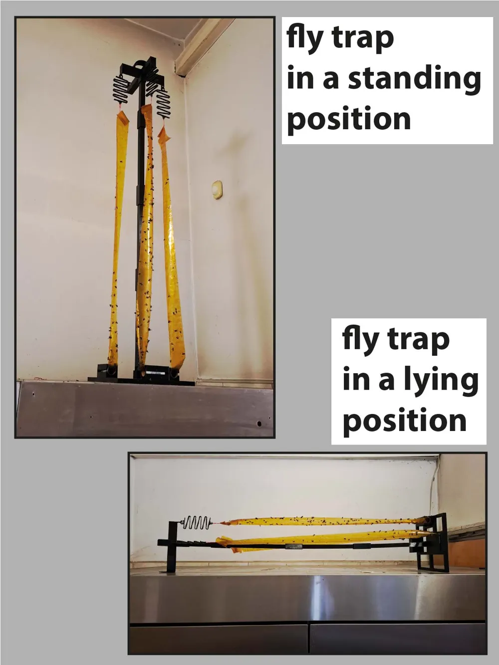 fly trap - Free 3D Print Model - MakerWorld