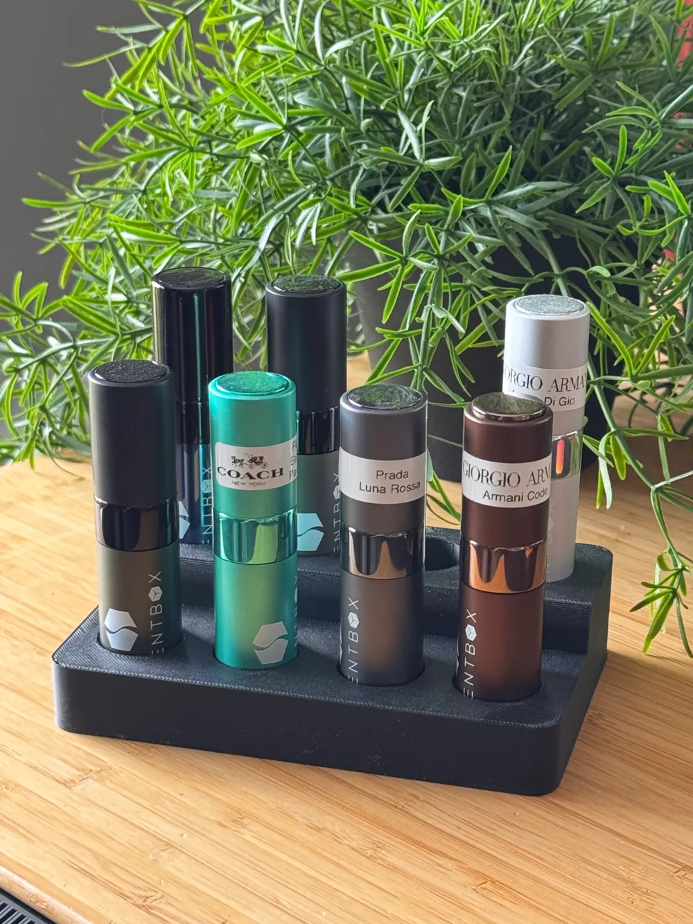 Scentbox perfume bottle stand by faaarmer - MakerWorld