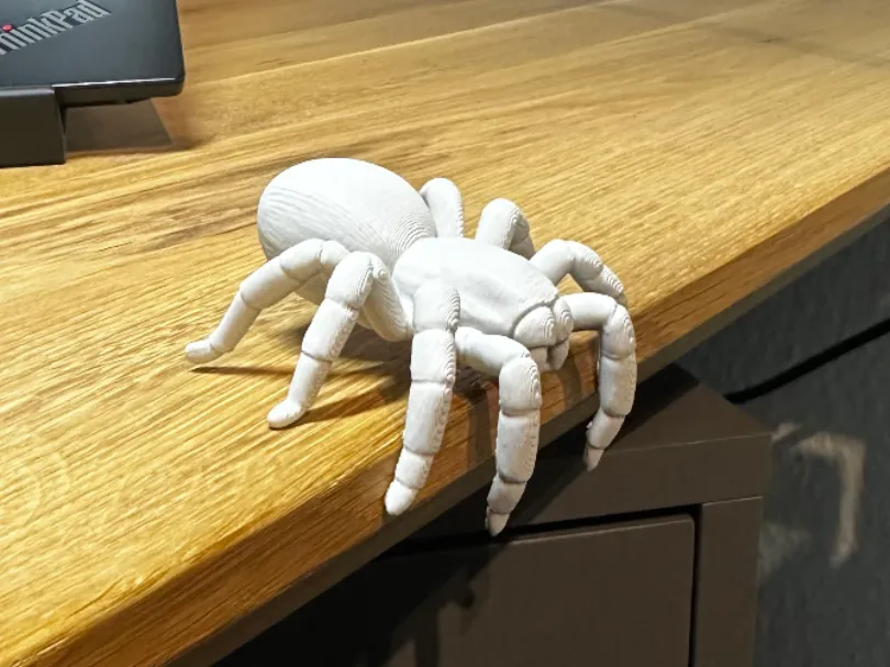 Spider Shelf Sitter – realistic 3D spider by Tekk3D MakerWorld ...