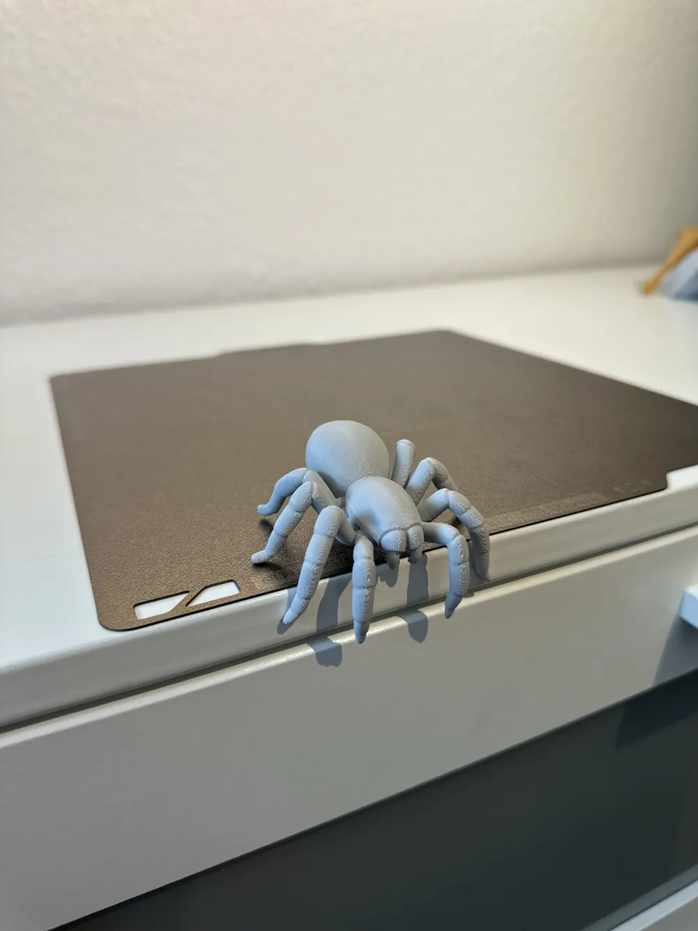 Spider Shelf Sitter – realistic 3D spider by Tekk3D MakerWorld: Download Free 3D Models