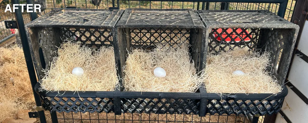 milk crate chicken nest ledge by dosglockarooski - MakerWorld