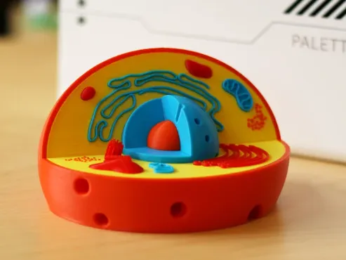 Cell Model Multipiece - Free 3D Print Model - MakerWorld