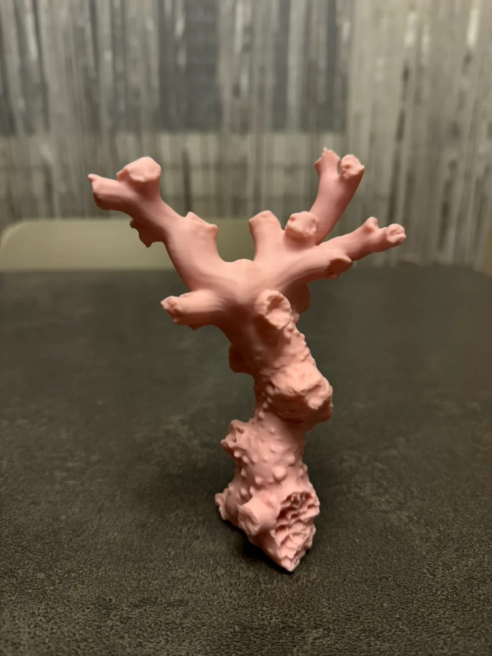 Coral - Free 3D Print Model - MakerWorld