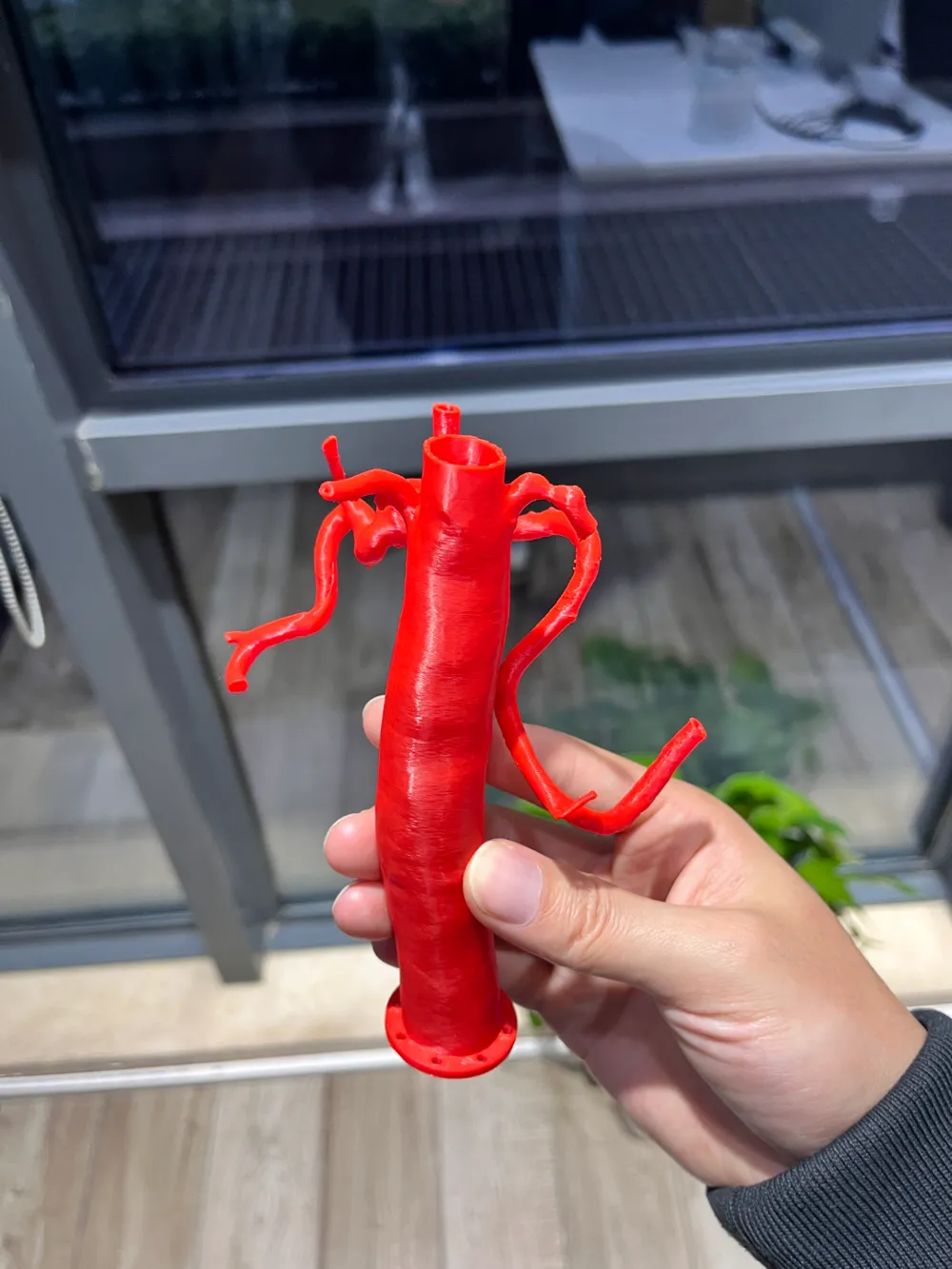 Aortic Model by Zoom MakerWorld: Download Free 3D Models